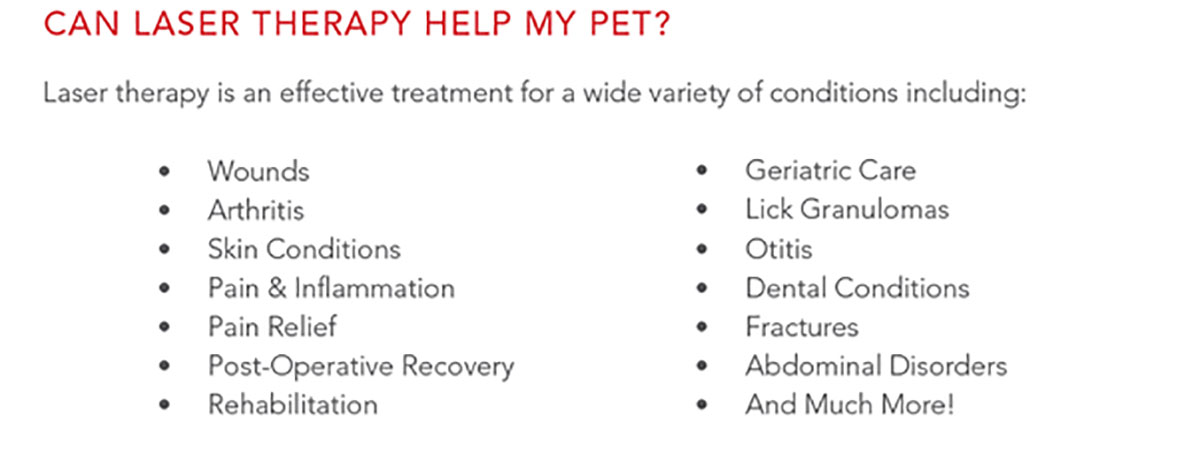Laser Therapy - Brunswick Central Vet Clinic